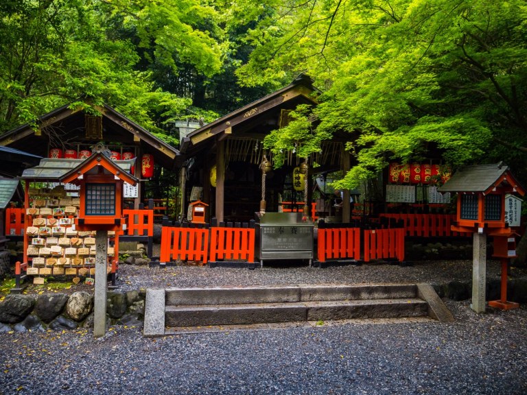 Japonia: Kioto – Arashiyama z rana jak śmietana. Lasek bambusowy ...