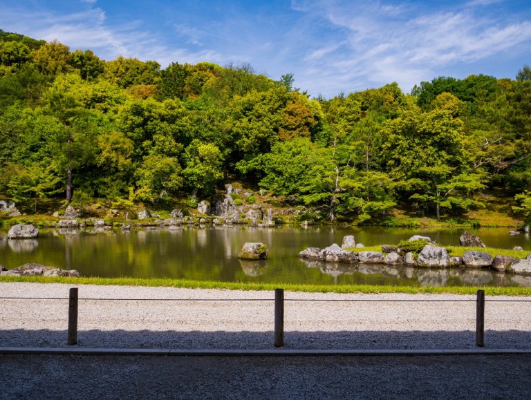 Japonia: Kioto – Arashiyama z rana jak śmietana. Lasek bambusowy ...